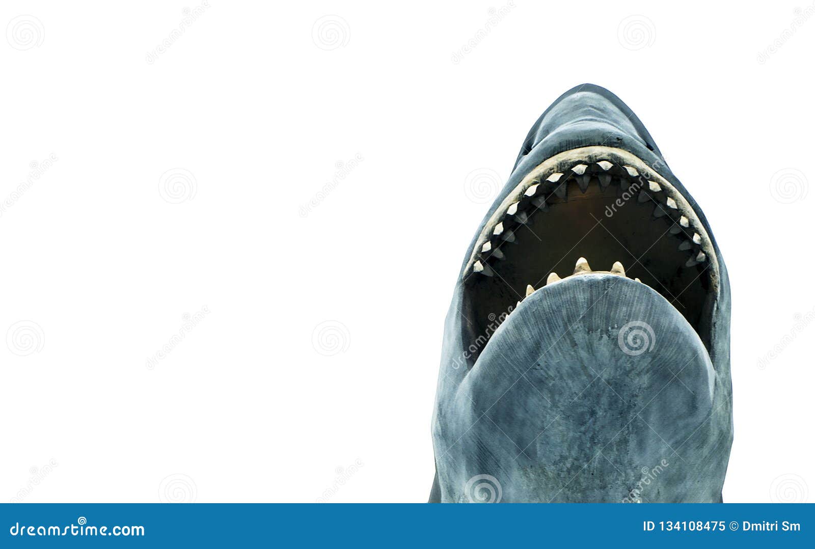 Shark has opened a large stock image. Image of crowded - 134108475