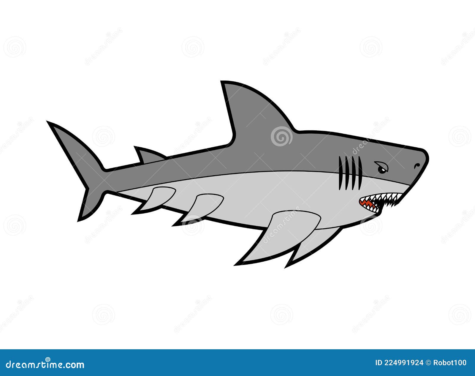Shark Isolated. Sea Predator. Large Predatory Marine Fish Stock Vector ...