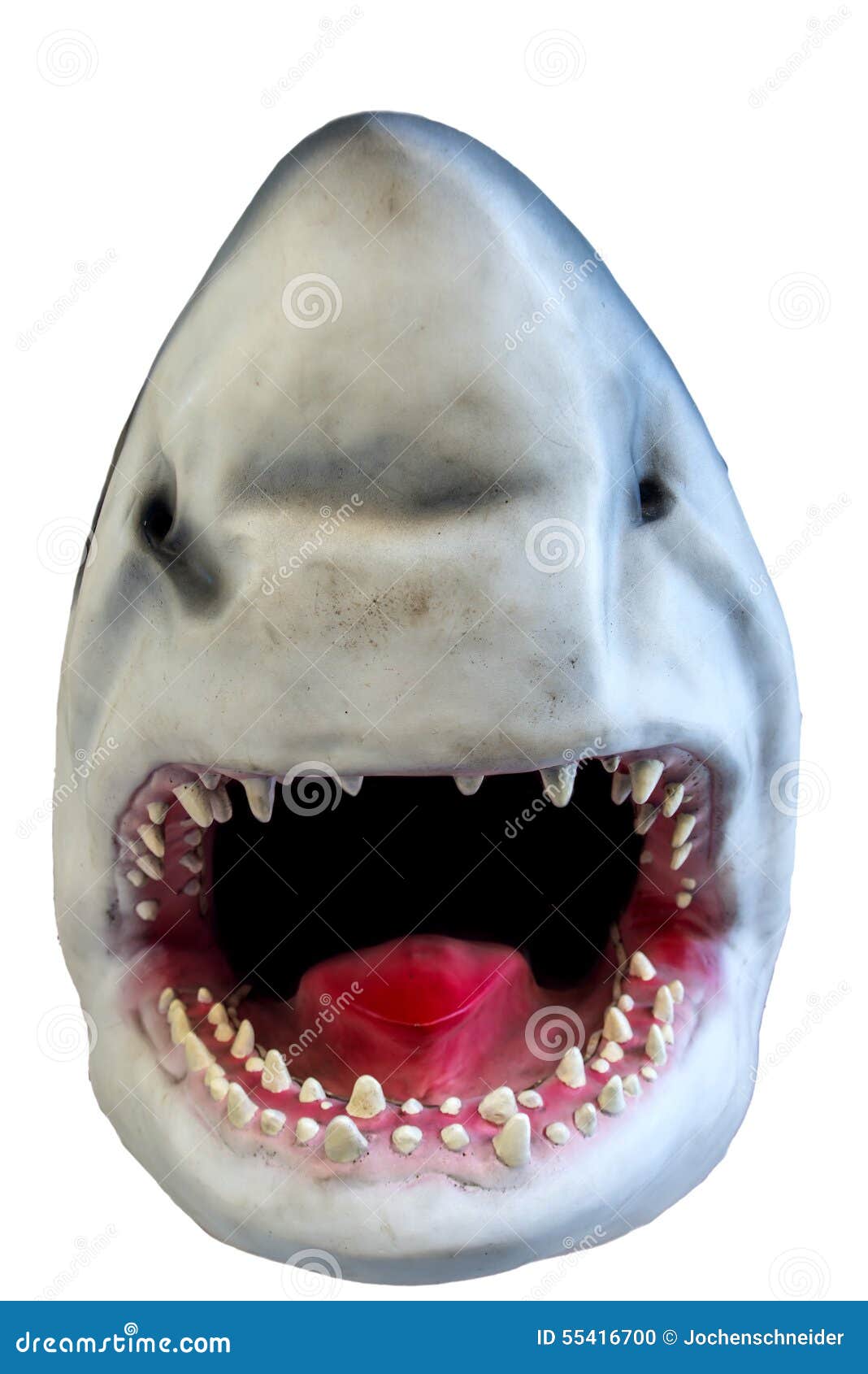 Toy Saw Shark Model On White Royalty-Free Stock Photo | CartoonDealer ...