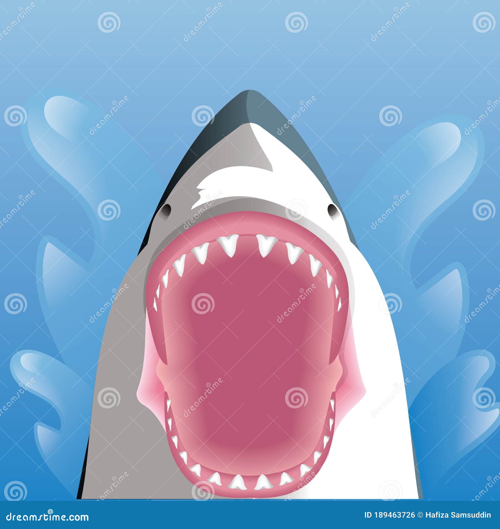 Shark with Opened Mouth. Vector Illustration Decorative Design Stock ...
