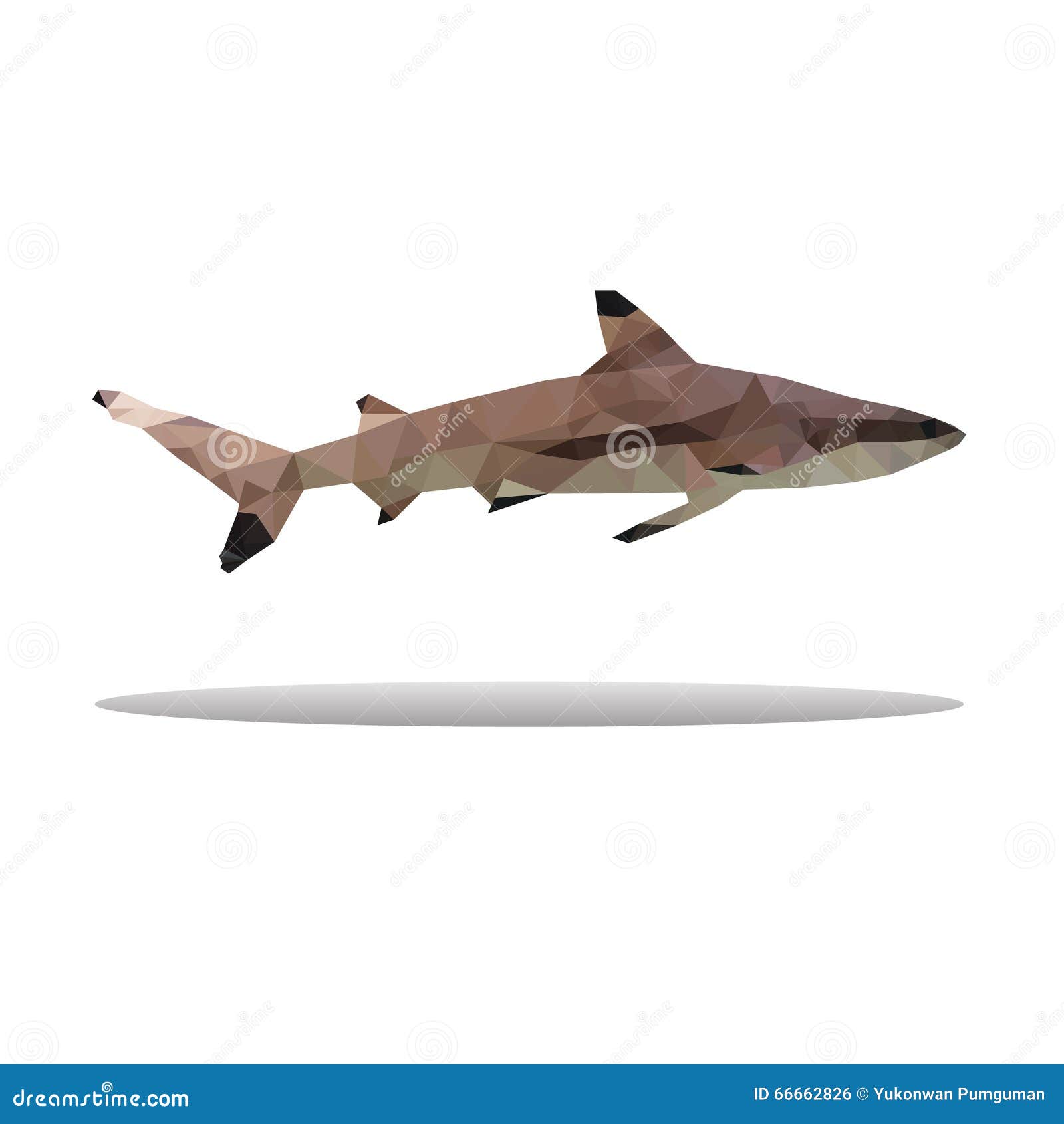 Shark Polygon Abstract Isolated on White Background Vector Stock Vector ...