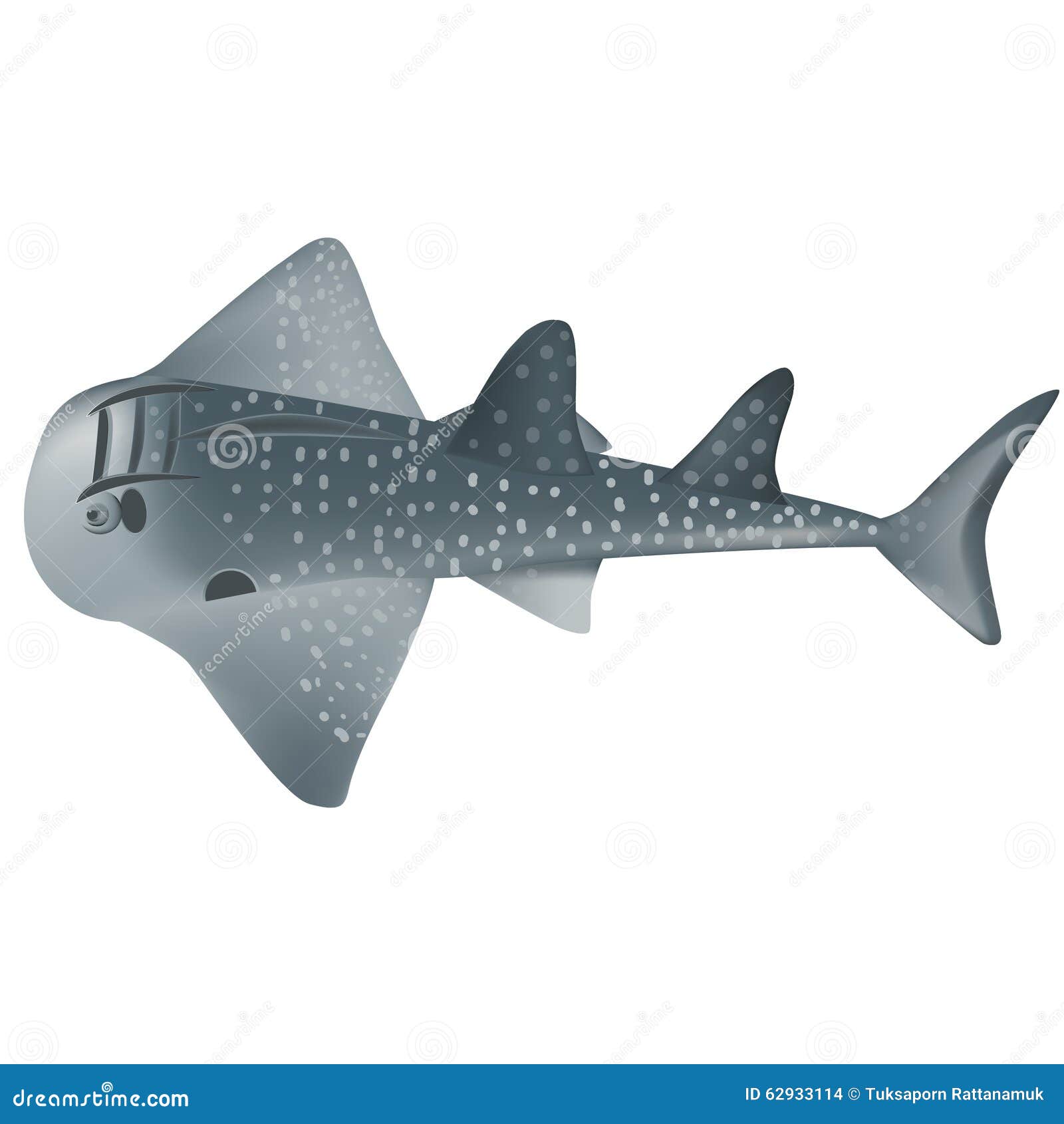 Shark ray stock vector. Illustration of faunar, ocean - 62933114