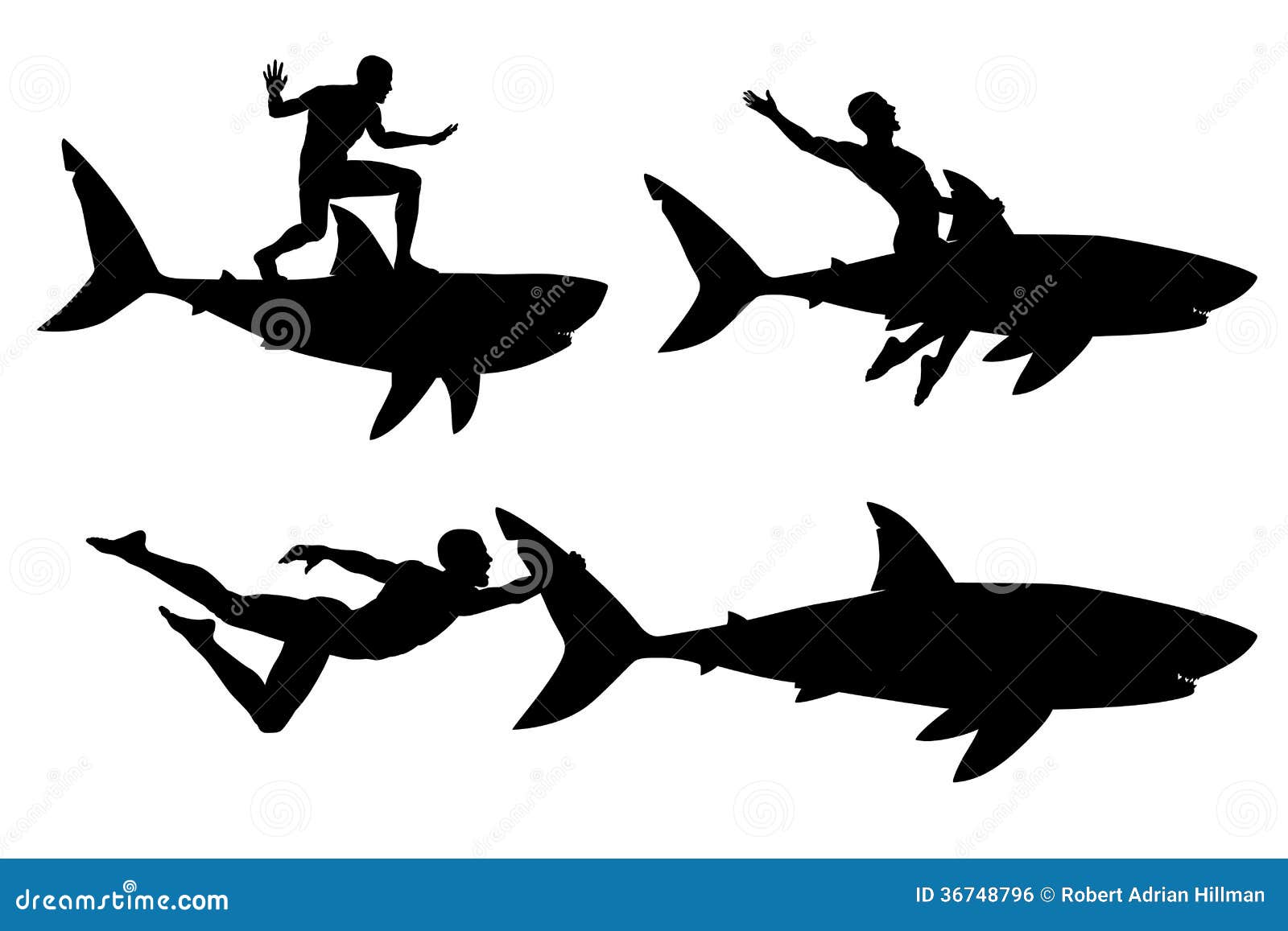 Shark rider stock vector. Illustration of thrill, person - 36748796