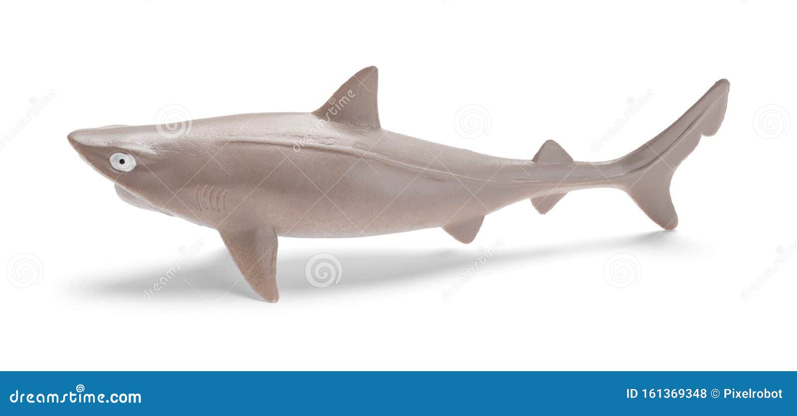 Tiger Shark Side View
