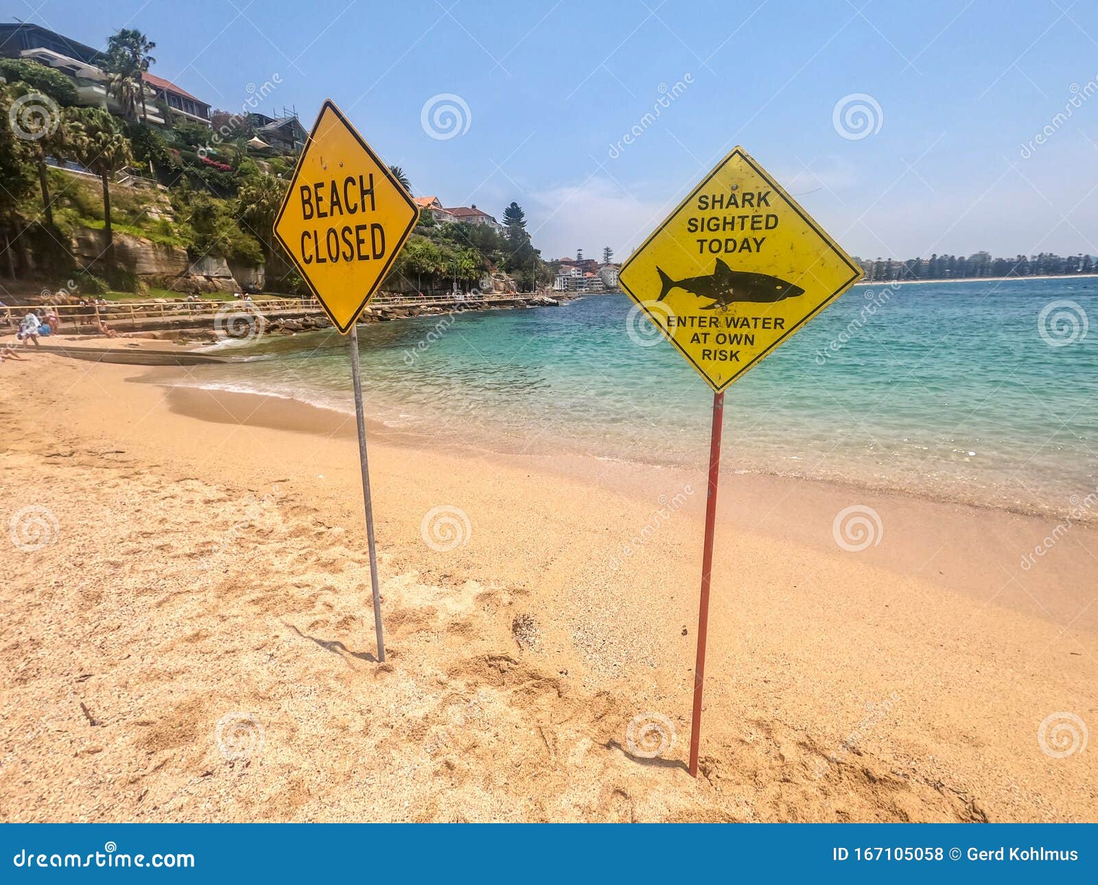 Shark Sighted Today Signpost at ShelleyBeach Stock Photo - Image of ... Shark Sighted Today Signpost at ShelleyBeach Stock Photo - Image of ...