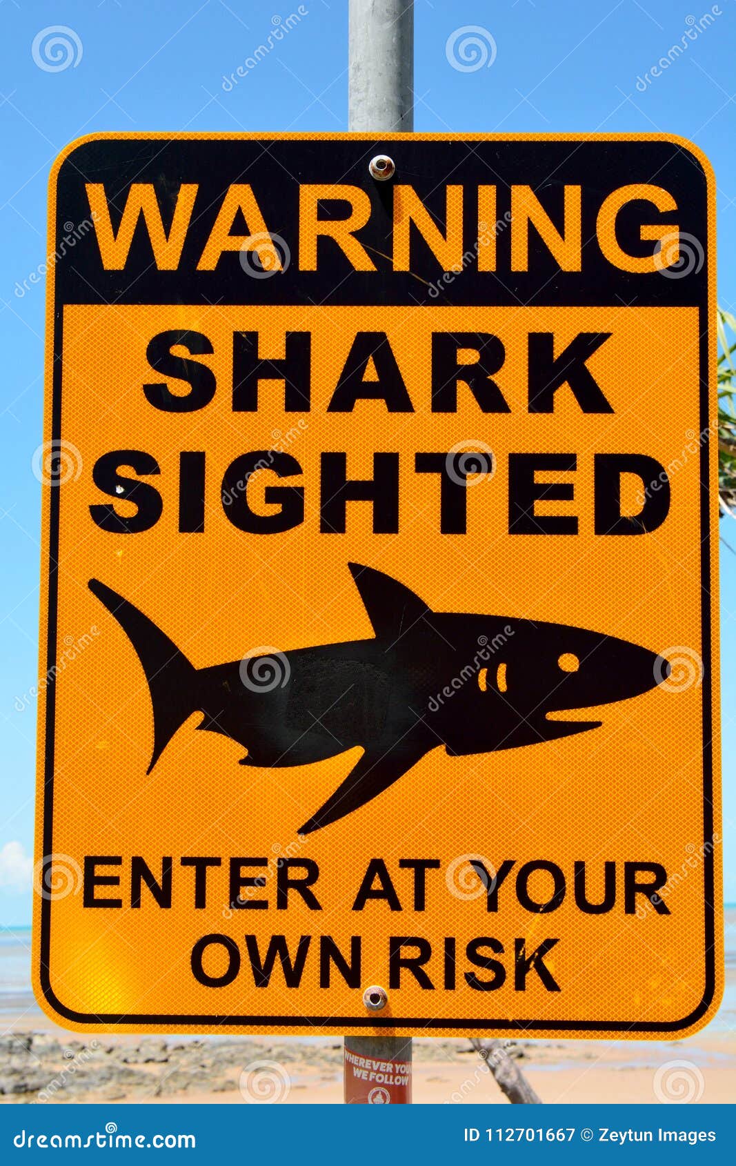 Shark Sighted Warning Sign. Editorial Photo | CartoonDealer.com #112701667 Shark Sighted Warning Sign. Editorial Photo | CartoonDealer.com #112701667