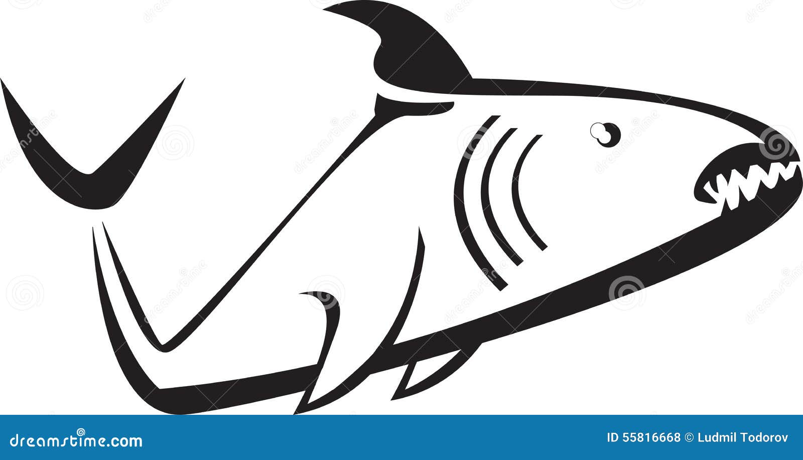 Shark stock vector. Illustration of scary, sign, nature - 55816668