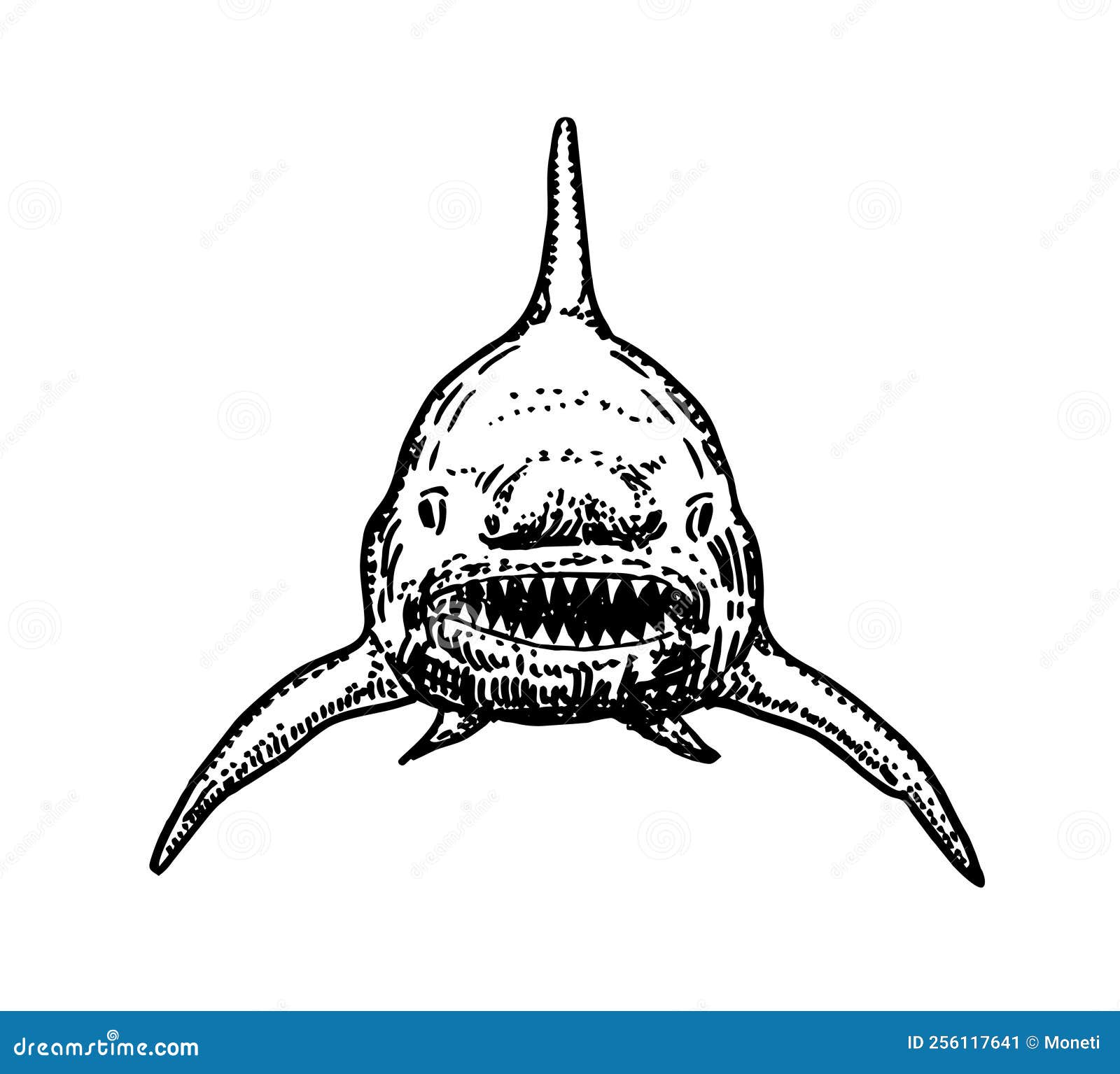 Shark Sketch. Shark Sketch Vector Graphics Monochrome Black-and-white ...