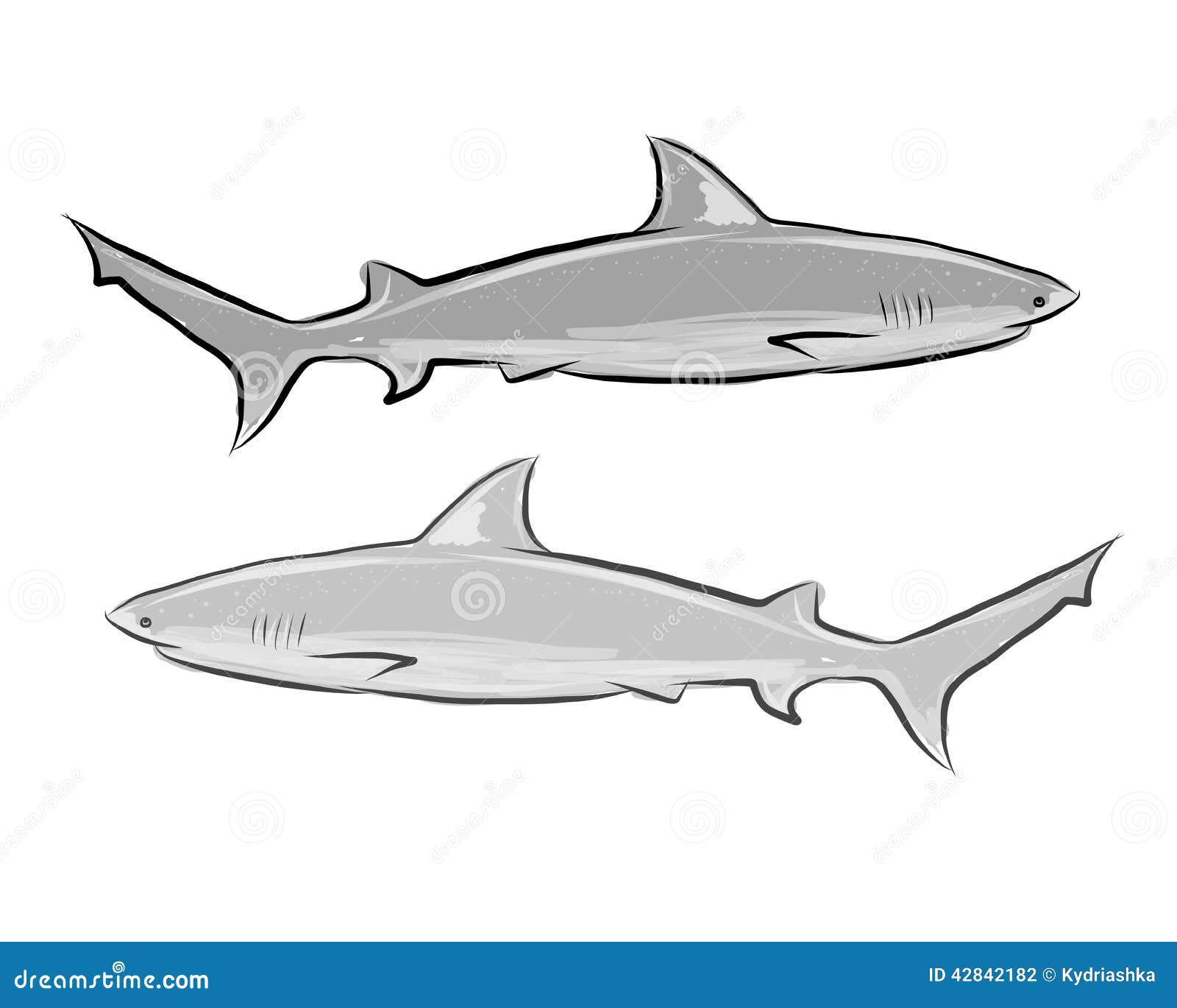 Shark Sketch. Shark Sketch Vector Graphics Monochrome Black-and-white ...