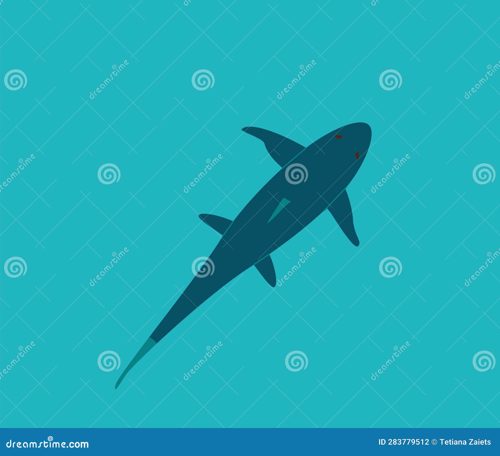 Shark Swim in the Water, Top View. Vector Illustration Stock ...