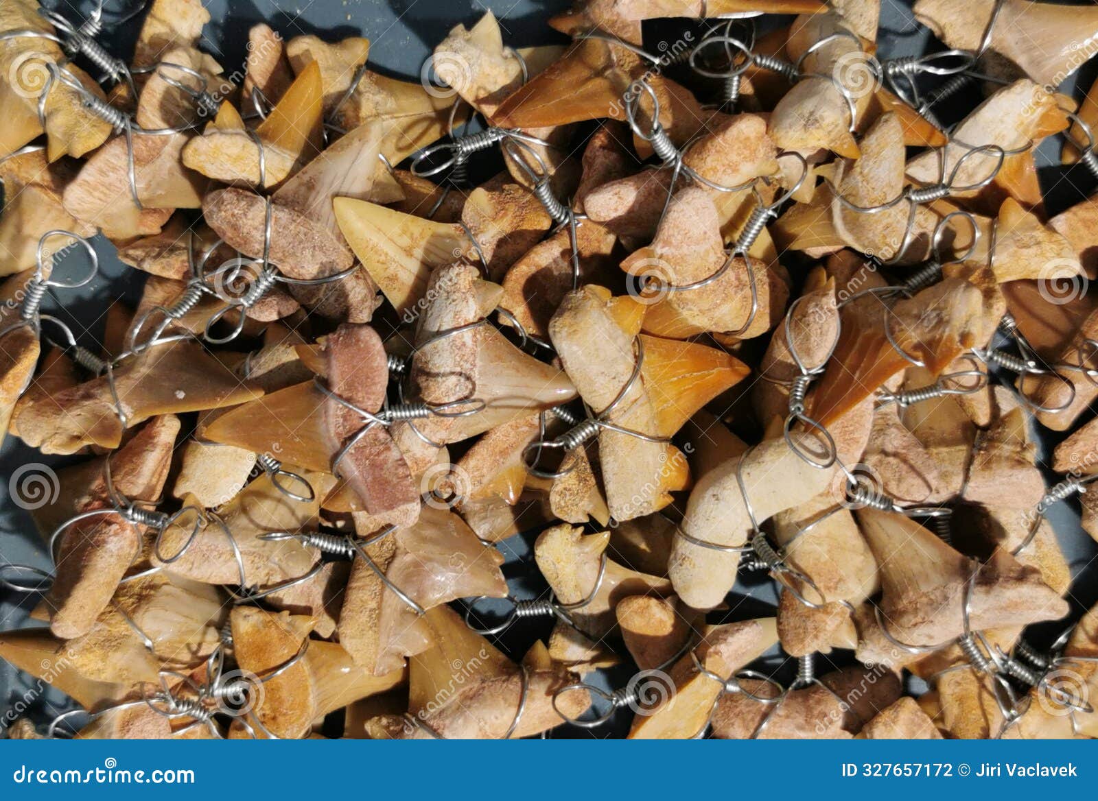 Shark Teeth Collection Texture Stock Photo - Image of black, stone ...