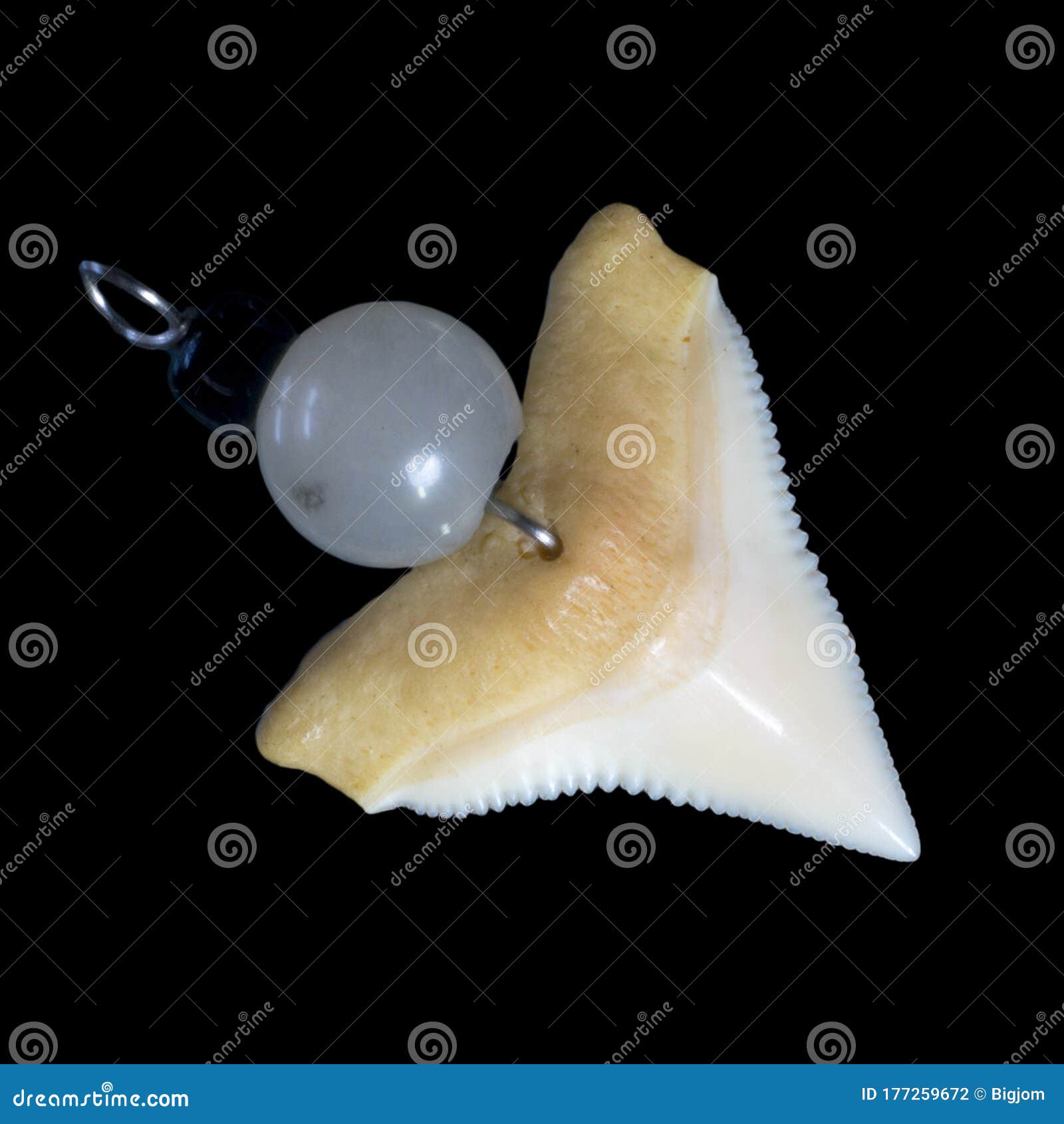 Shark Teeth Logo Photos - Free & Royalty-Free Stock Photos from Dreamstime