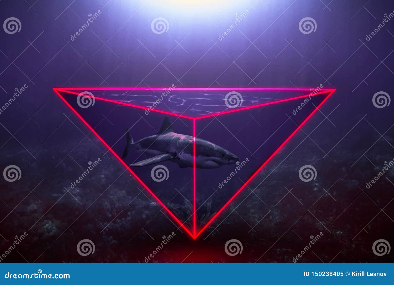 Neon Shark stock image. Image of trapped, rays, underwater - 150238405