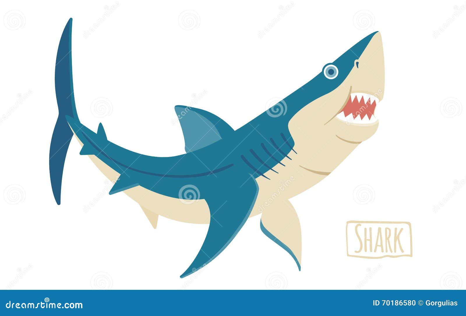 Shark. Vector Drawing | CartoonDealer.com #162220542