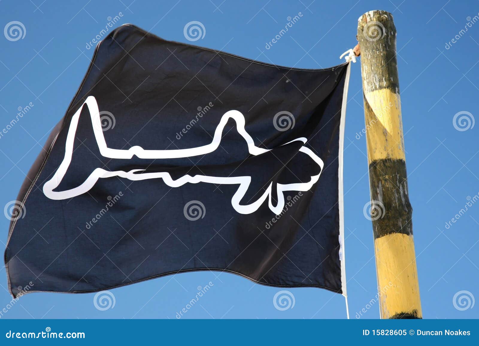 Shark Warning Flag stock image. Image of white, alert - 15828605