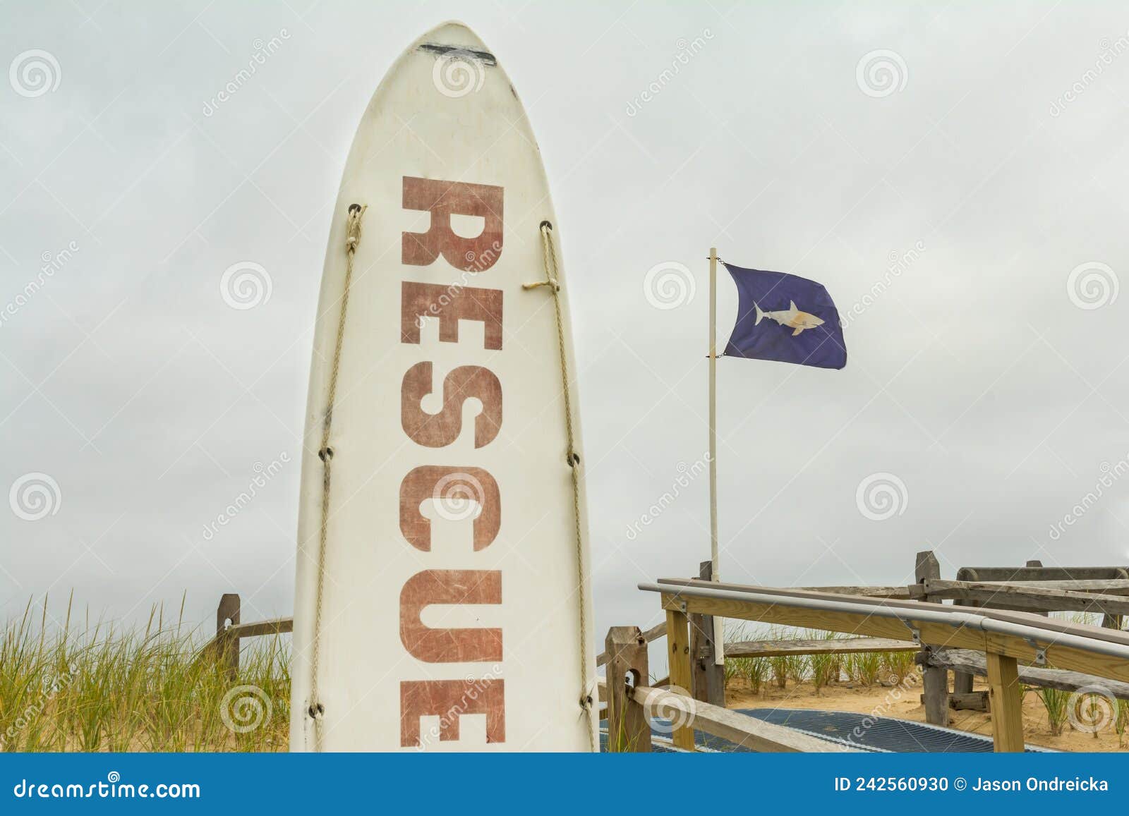 Shark Warning Flag on the Beach Stock Photo - Image of rescue, danger ...