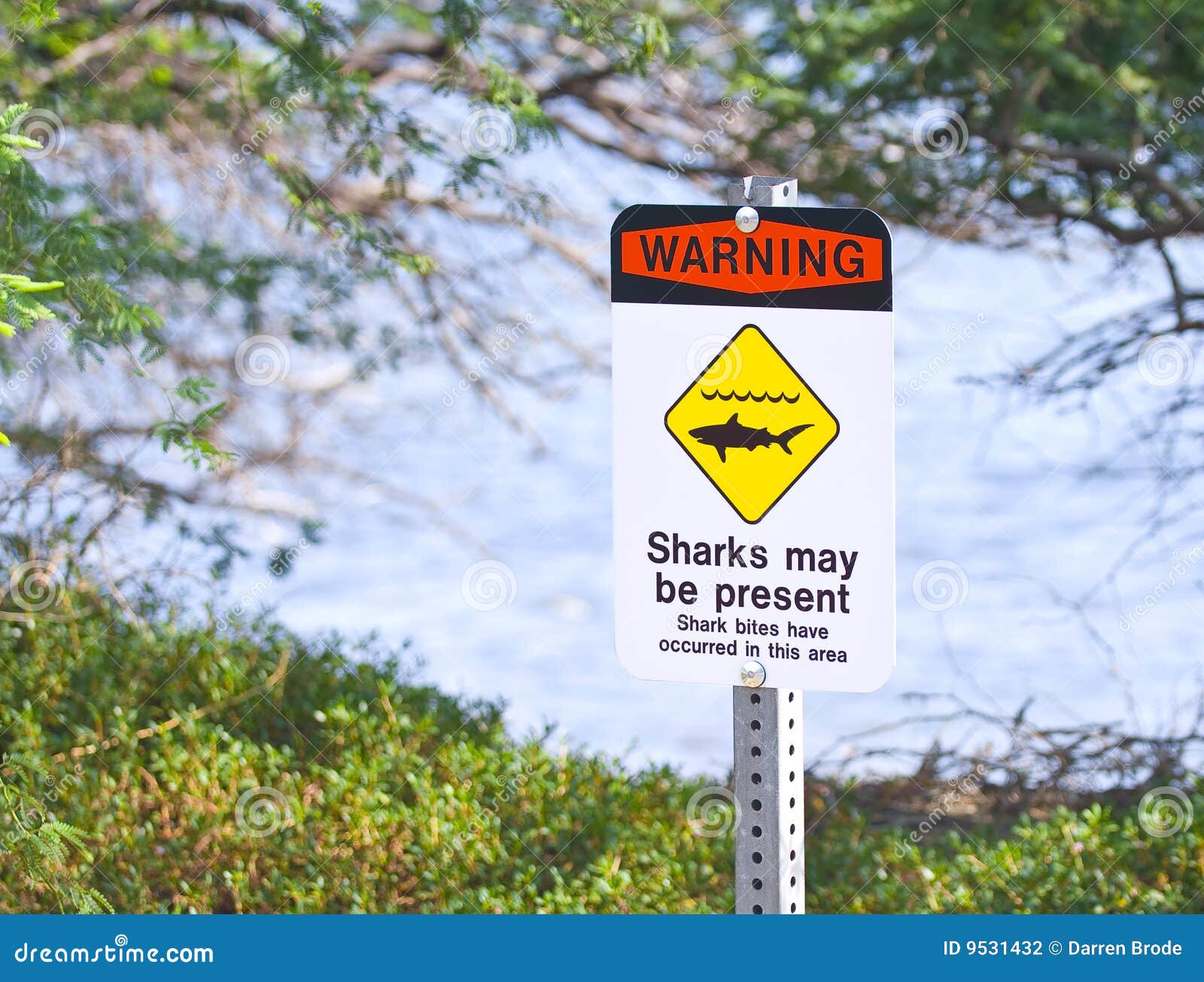 Shark Warning Sign stock photo. Image of warning, hawaii - 9531432