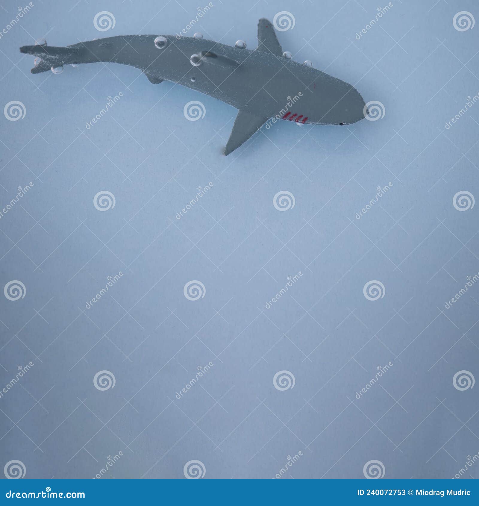 Shark in the Water on a Light Blue Background with Copy Space ...