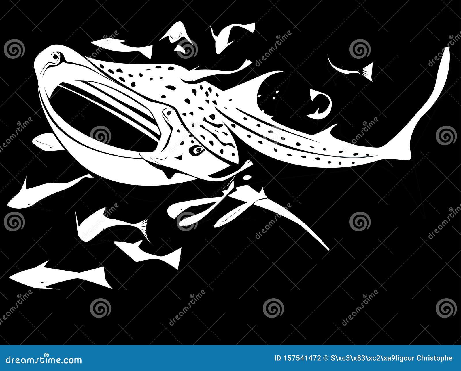 Pilot Fish Or Naucrates Ductor, Vintage Engraving Cartoon Vector ...