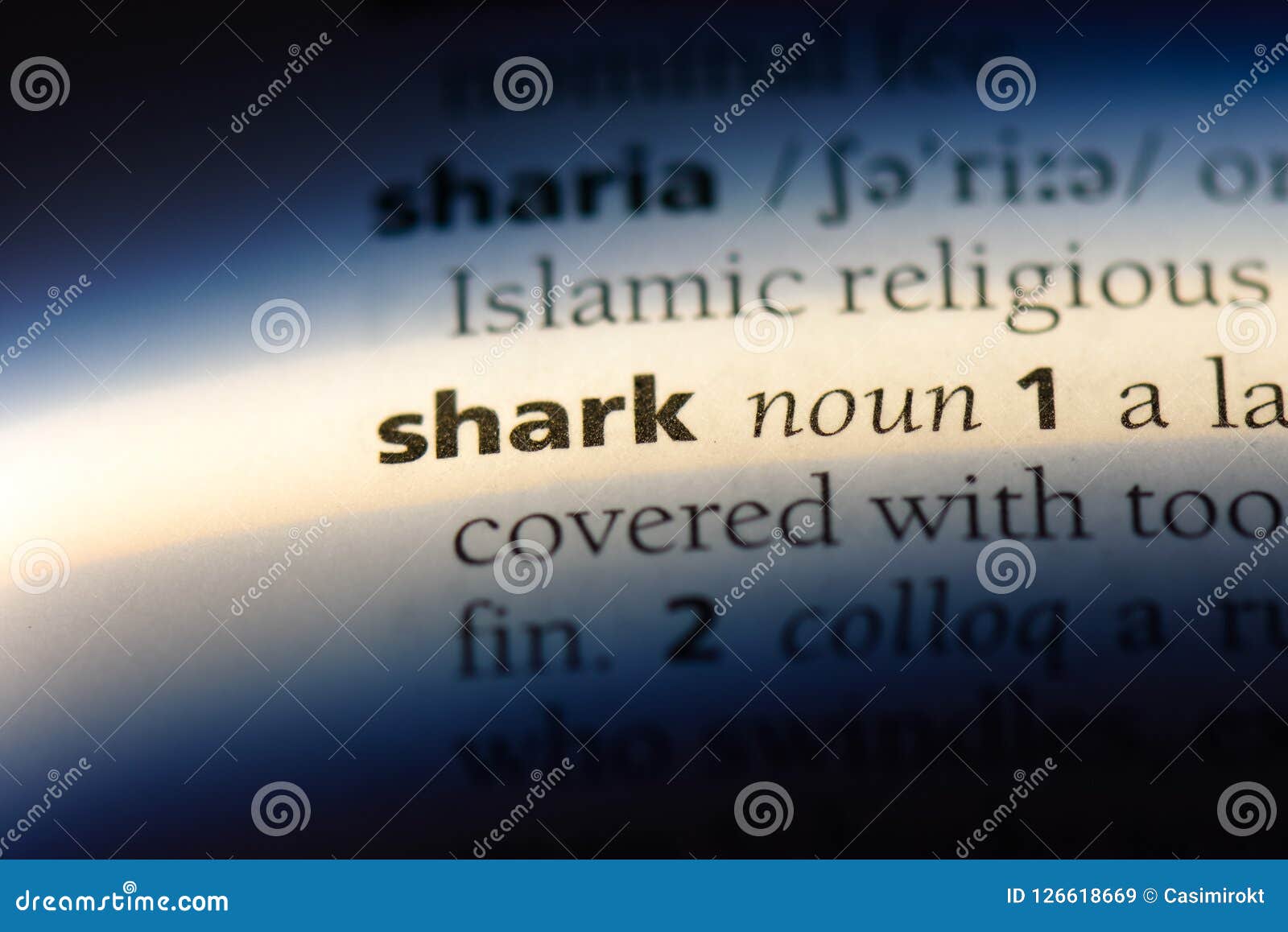 Shark stock image. Image of writing, isolated, paper - 126618669