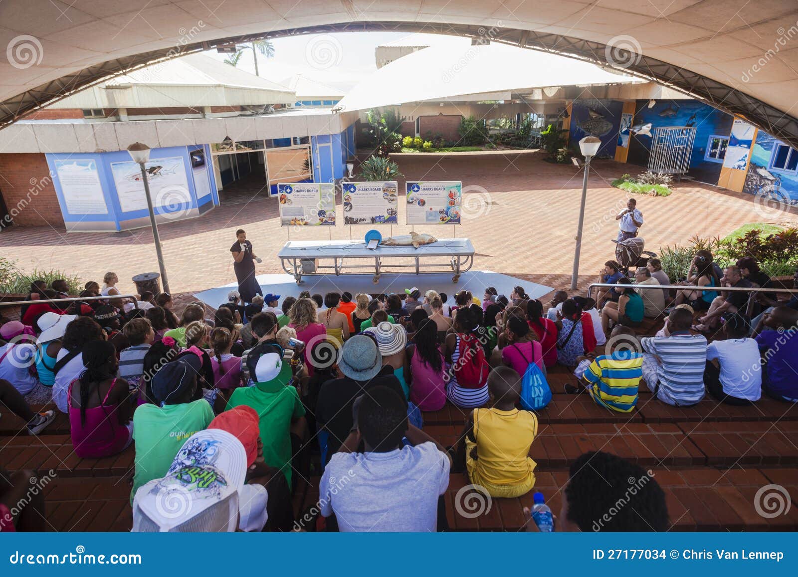 Sharks Board Lecture People Editorial Stock Image - Image of life ...