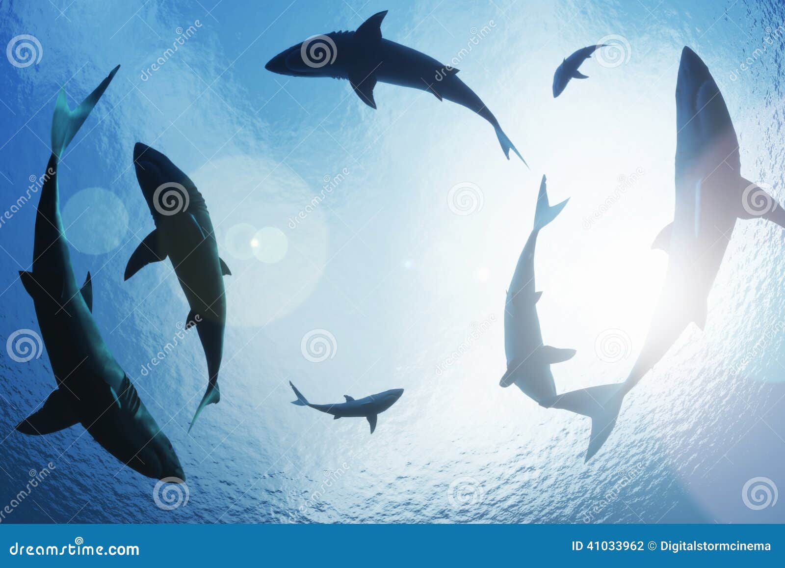 Sharks Royalty-Free Stock Image | CartoonDealer.com #22721464