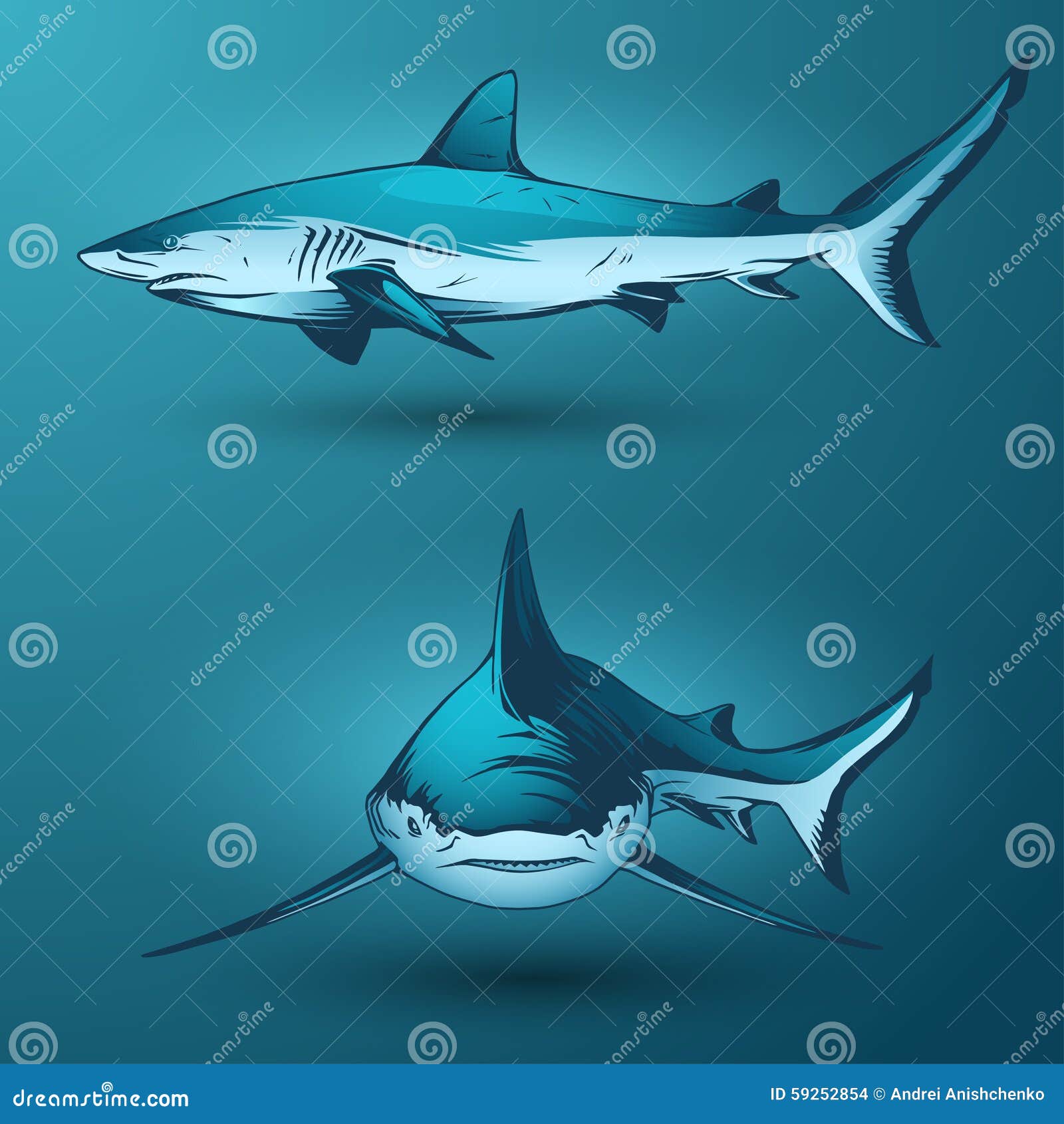 Sharks stock vector. Illustration of face, black, fish - 59252854