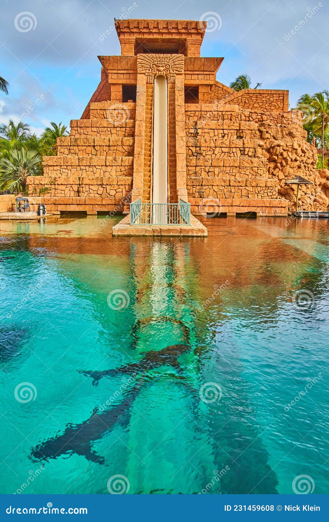 Sharks in Pool Swimming Over Slide Recreated Mayan Temple Stock Photo ...