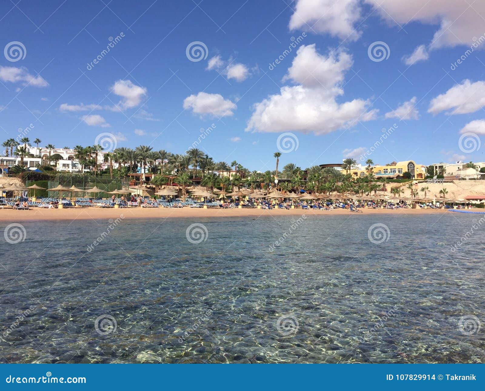 Sharm El-Sheikh, Egitto, Mar Rosso Fotografia Stock - Immagine di ...