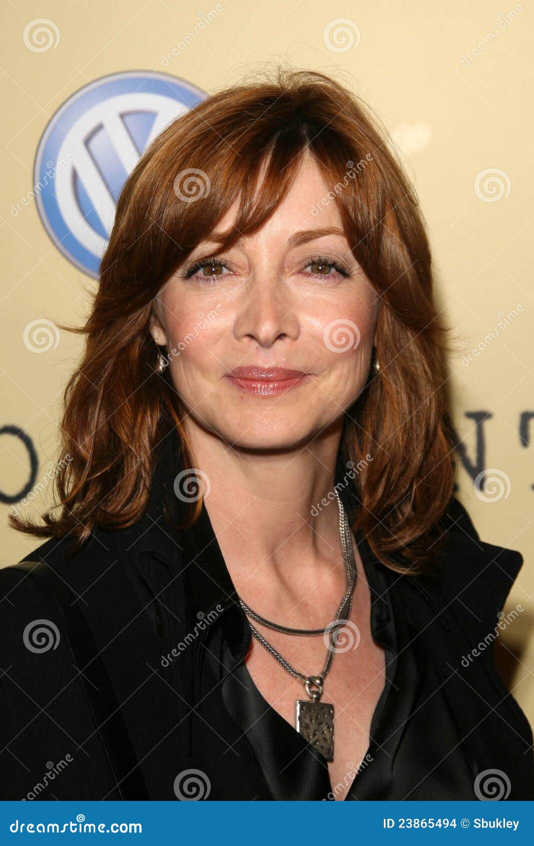 Sharon Lawrence editorial stock image. Image of motion - 23865494