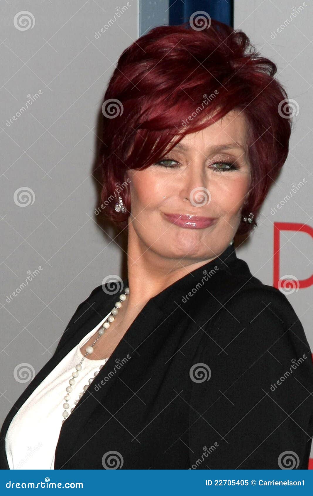 Sharon Osbourne editorial image. Image of november, choice - 22705405