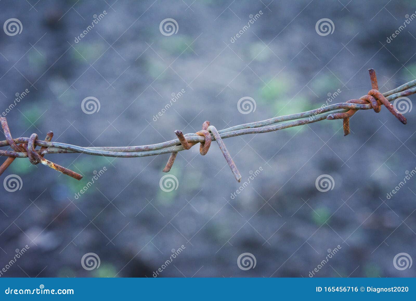Sharp Ancient Rusty Barbed Wire. Abstract Background Stock Photo ...