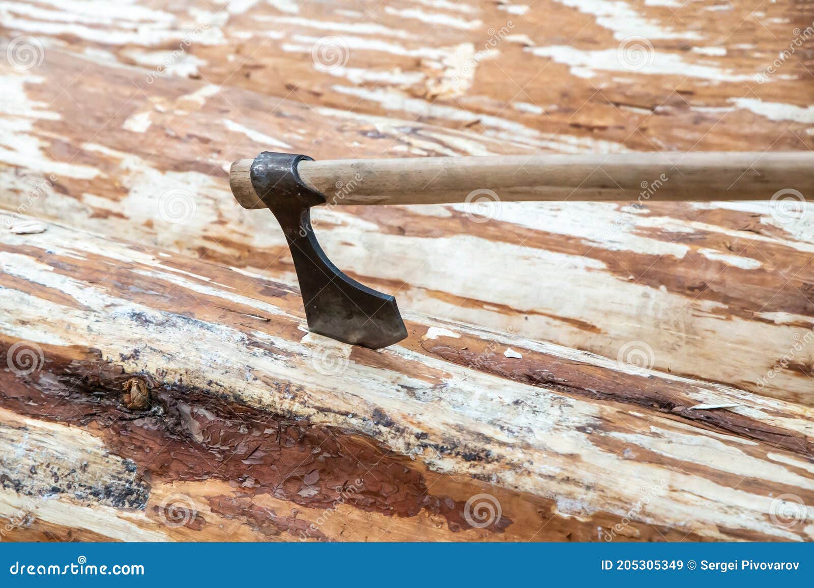 Sharp Ax is Stuck in the Trunk of a Tree Start of Construction Stock ...