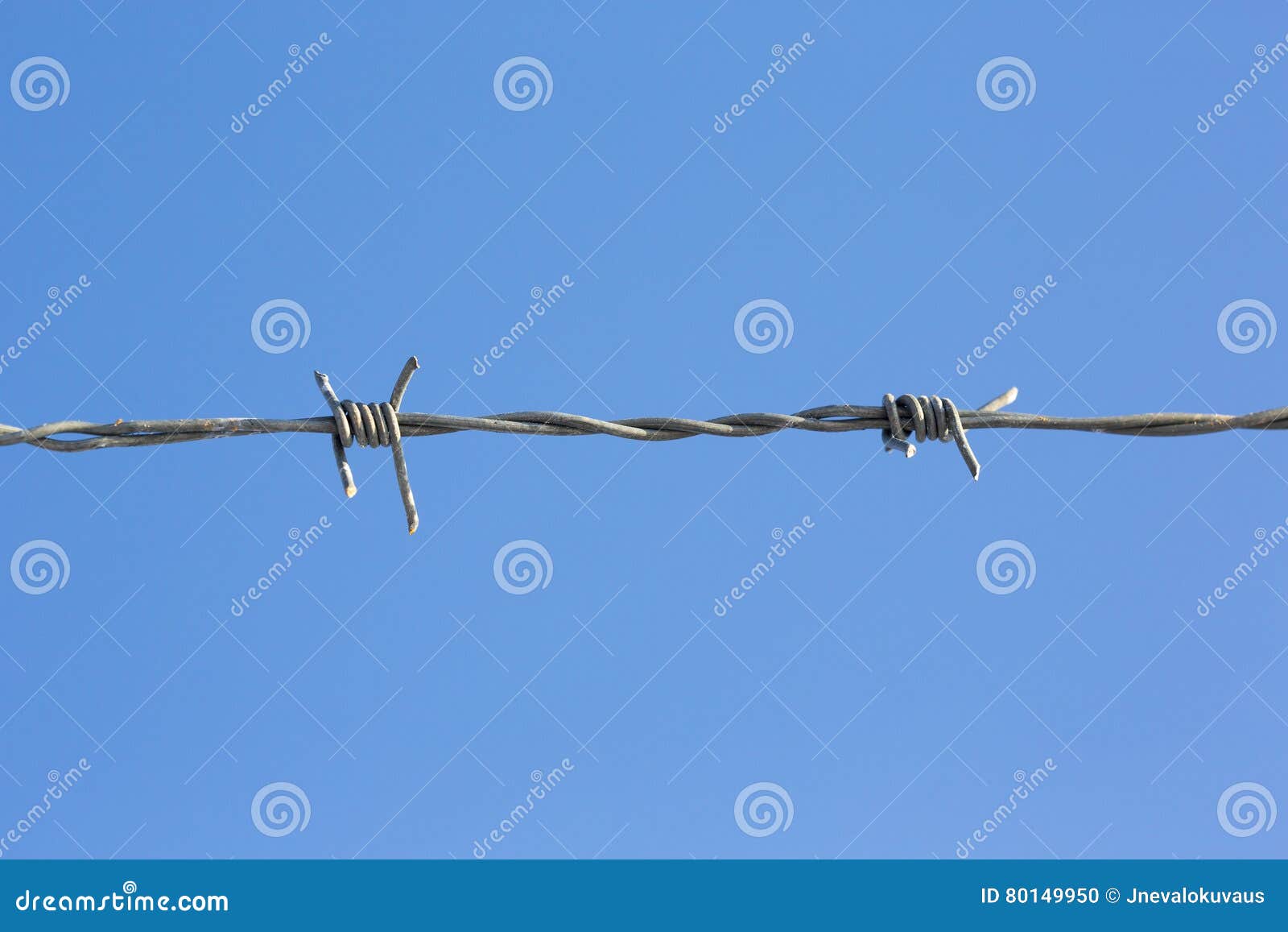 Sharp barb wire. stock photo. Image of chain, freedom - 80149950