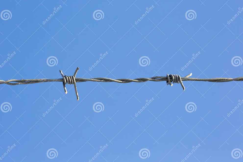 Sharp barb wire. stock photo. Image of chain, freedom - 80149950