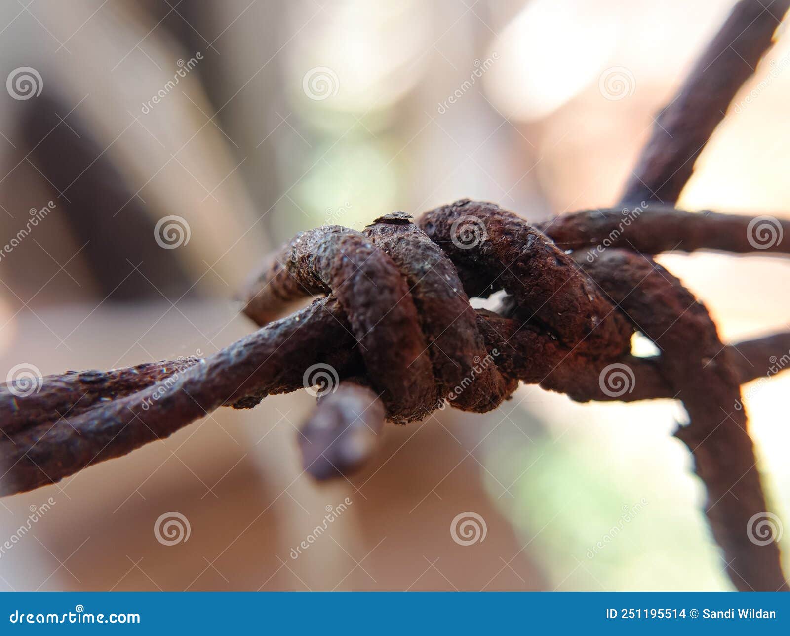 Sharp Barbed Wire with Sharp Edges and Corroded Stock Photo - Image of ...