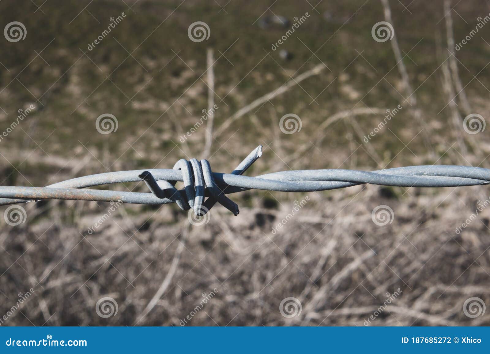 Sharp Barbed Wire Fence Border Stock Photo - Image of prison, isolated ...