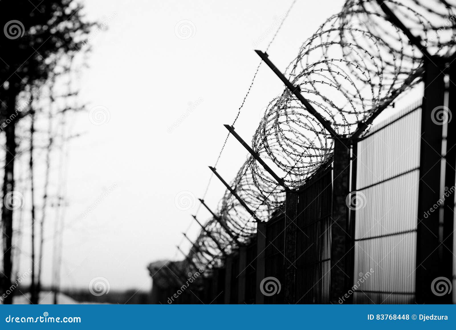 Sharp barbed wire on fence stock photo. Image of criminal - 83768448