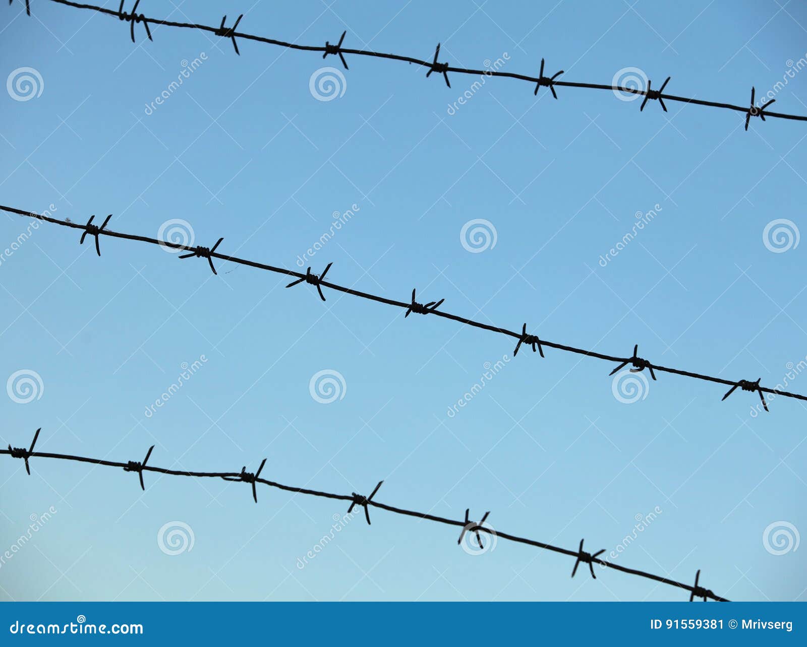 Sharp barbed wire fence stock image. Image of barrier - 91559381