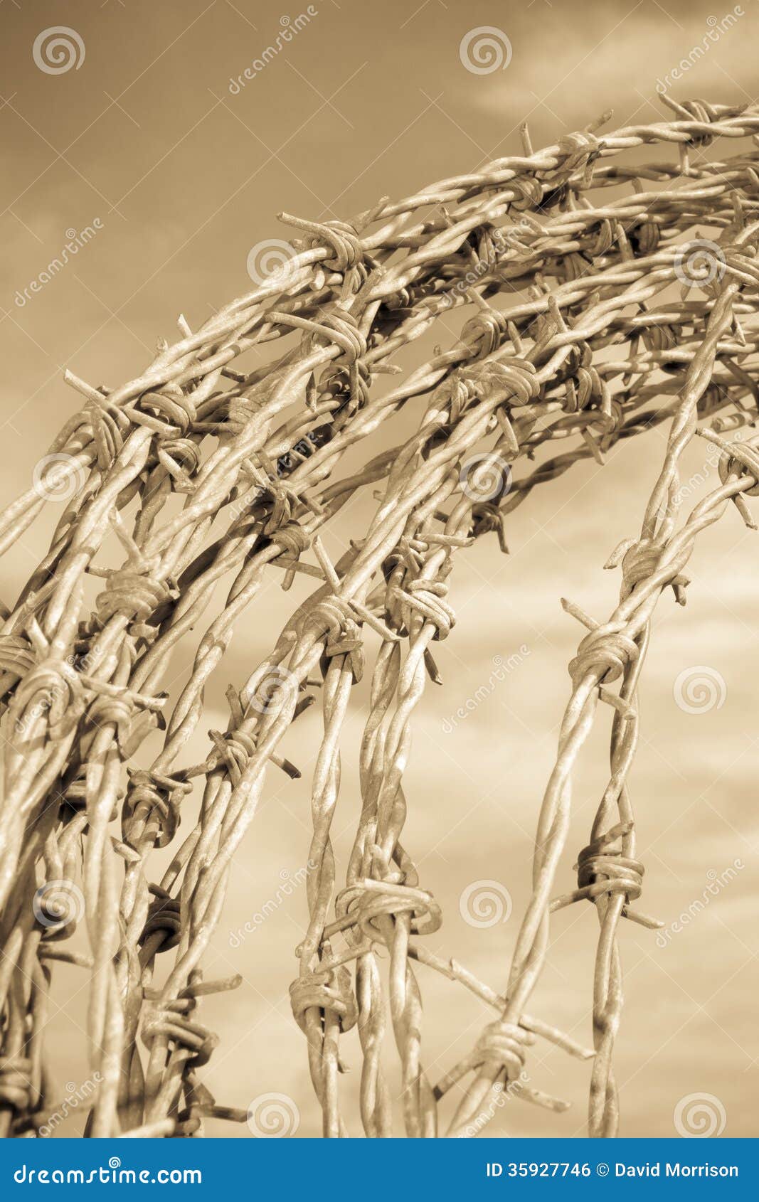 3,340 Dangerous Sharp Barbed Wire Stock Photos - Free & Royalty-Free ...
