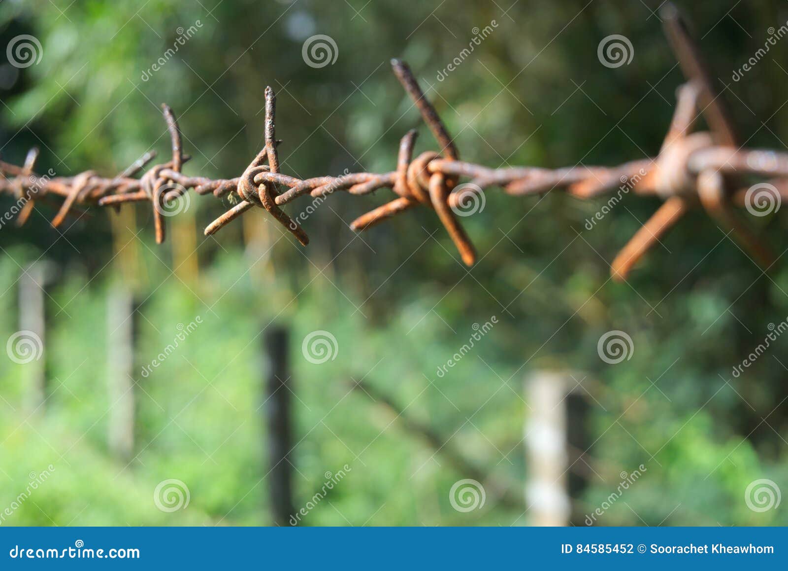 A sharp barbed wire twist. stock photo. Image of protection - 84585452