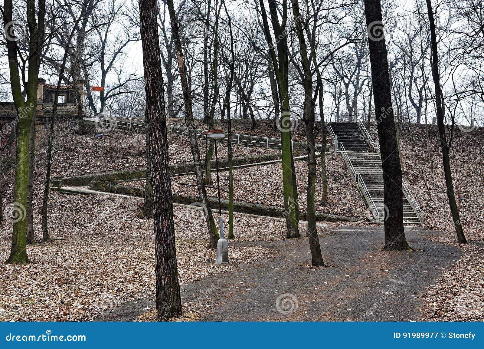 Sharp Bend in the Path of the Steps Stock Image - Image of morning ...