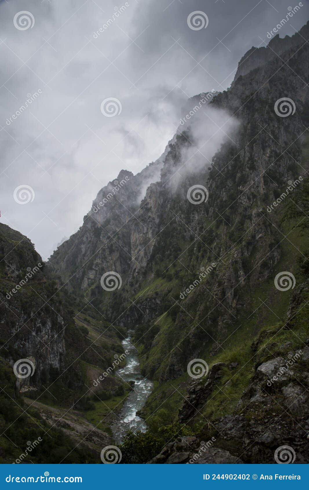 Sharp Cliffs of Limestone and Deep Gorges Stock Photo - Image of adult ...