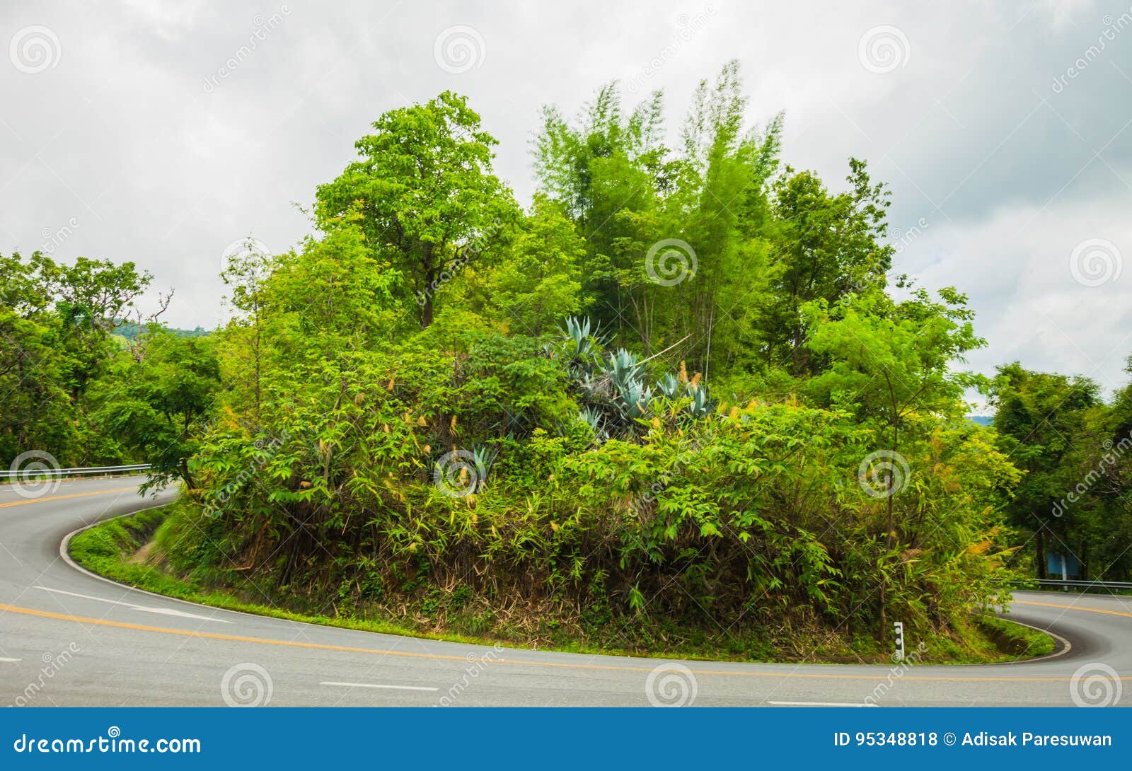 Sharp curve way stock photo. Image of green, nature, travel - 95348818