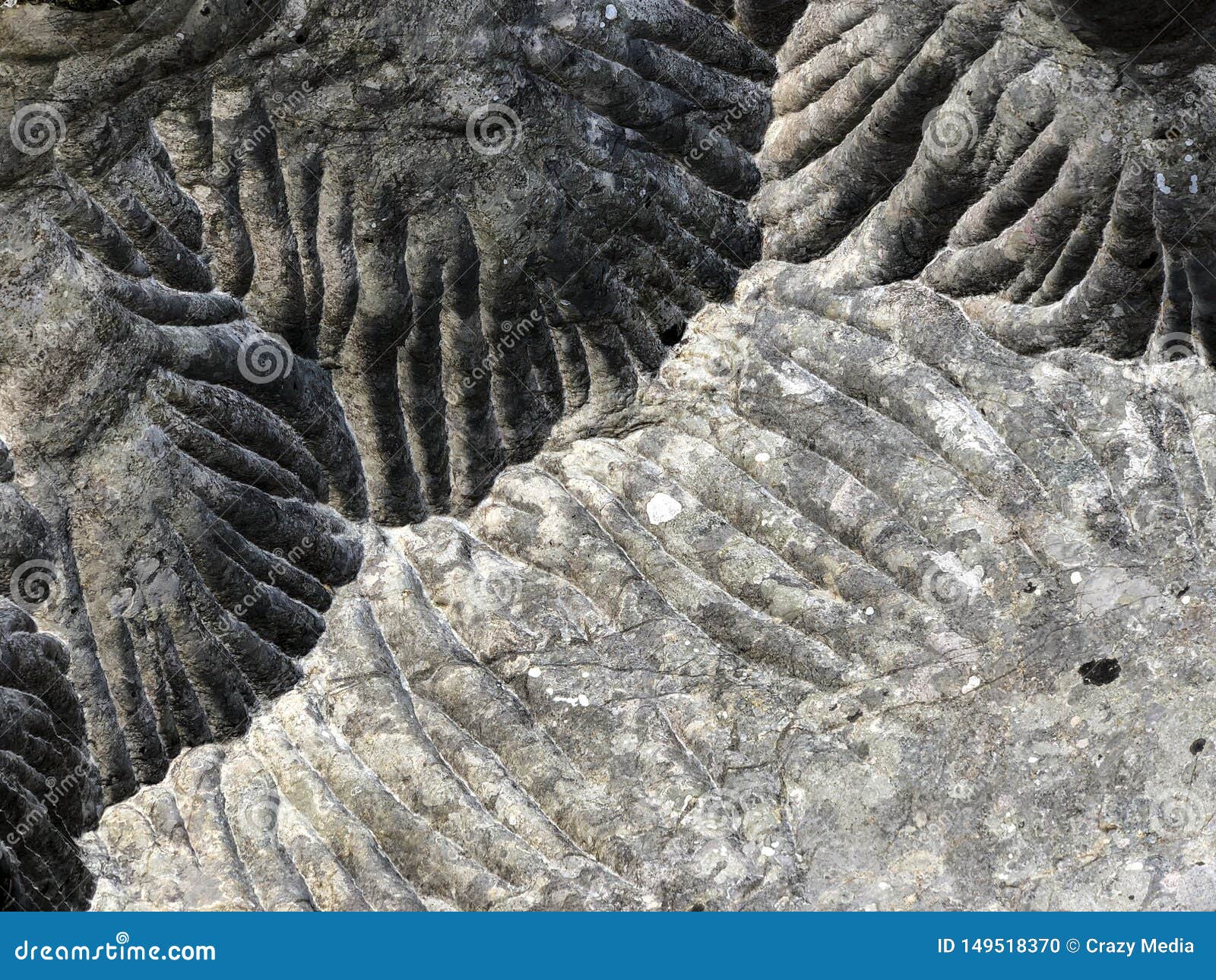 Sharp and Dangerous Limestone Formations Stock Photo - Image of mining ...