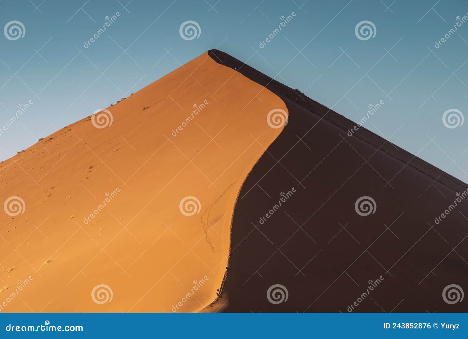 Sharp dune edge stock photo. Image of landscape, sand - 243852876