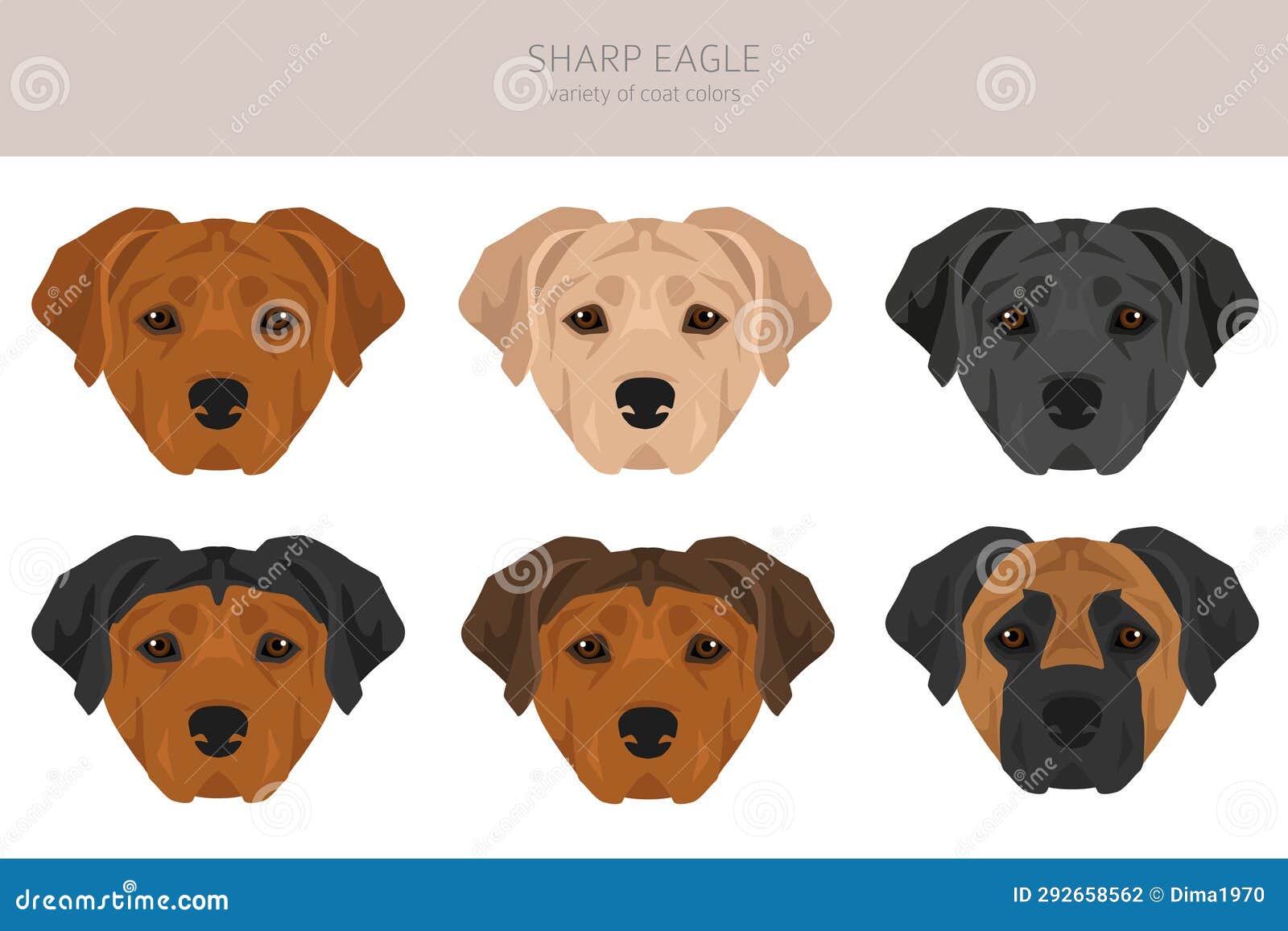 Sharp Eagle Clipart. Shar Pei - Beagle Mix Stock Vector - Illustration ...