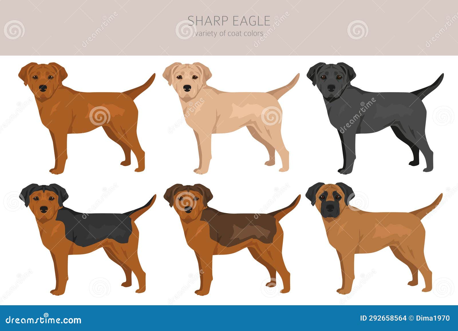Sharp Eagle Clipart. Shar Pei - Beagle Mix Stock Vector - Illustration ...