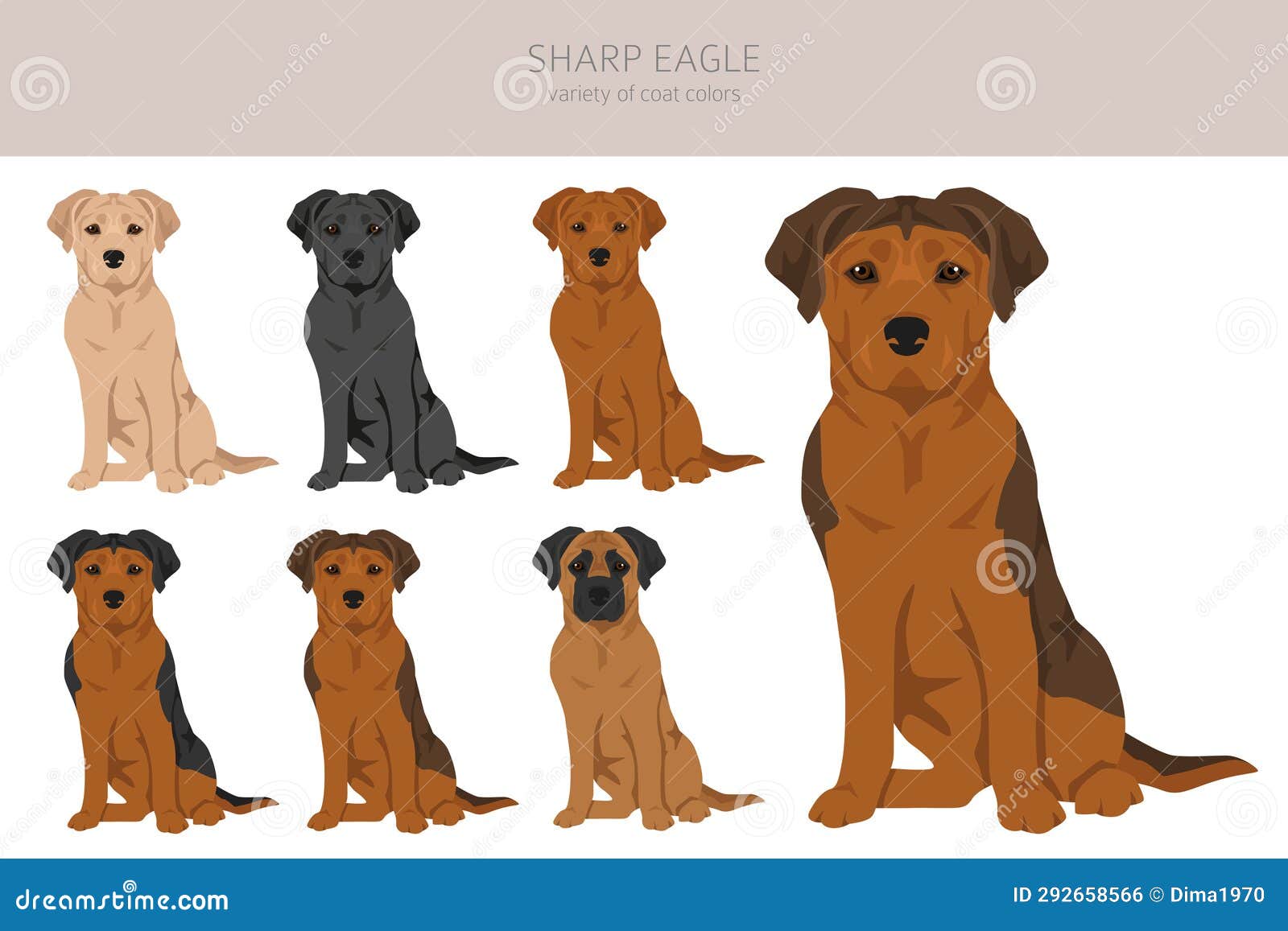 Sharp Eagle Clipart. Shar Pei - Beagle Mix Stock Vector - Illustration ...