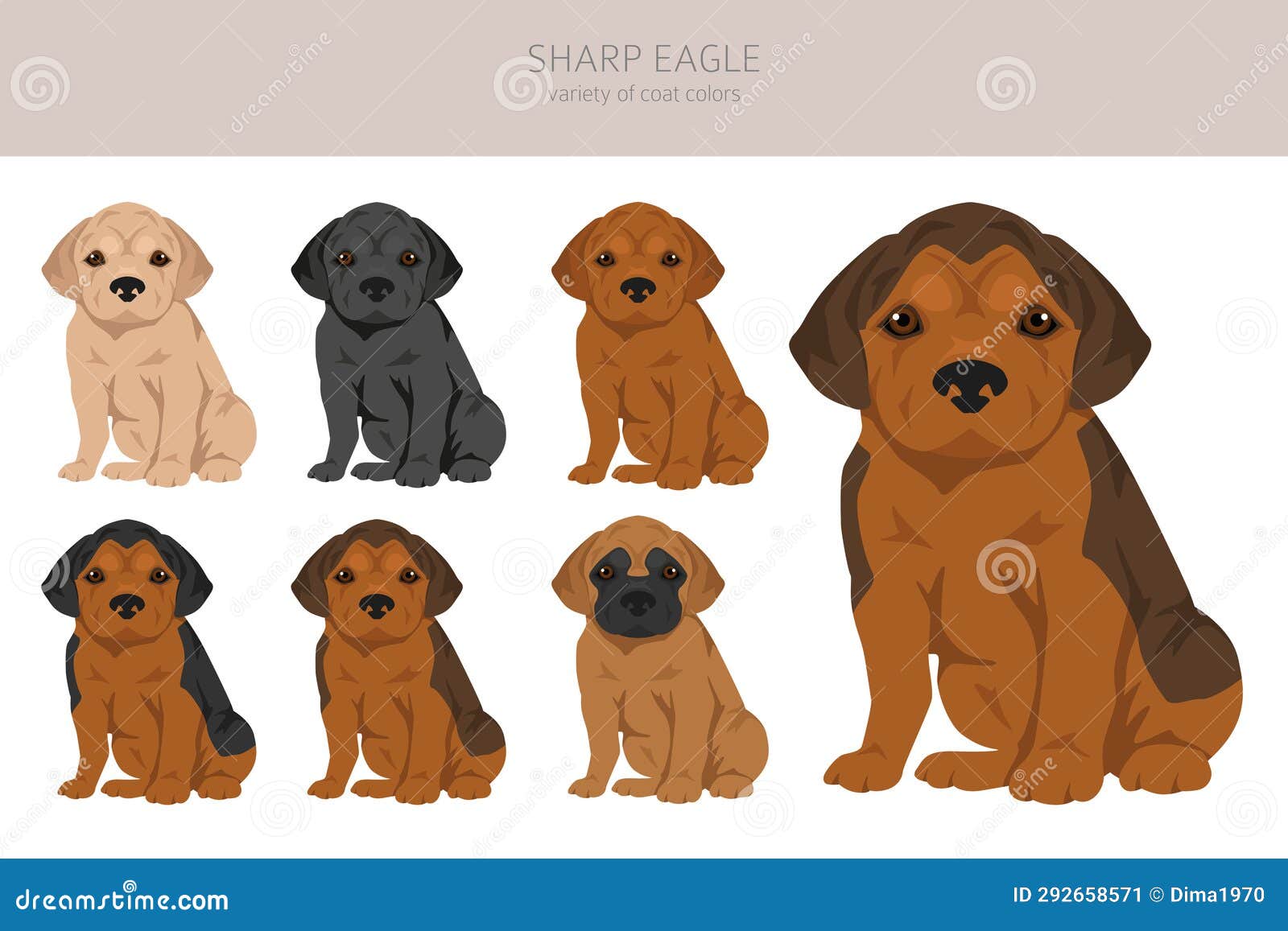 Sharp Eagle Clipart. Shar Pei - Beagle Mix Stock Vector - Illustration ...